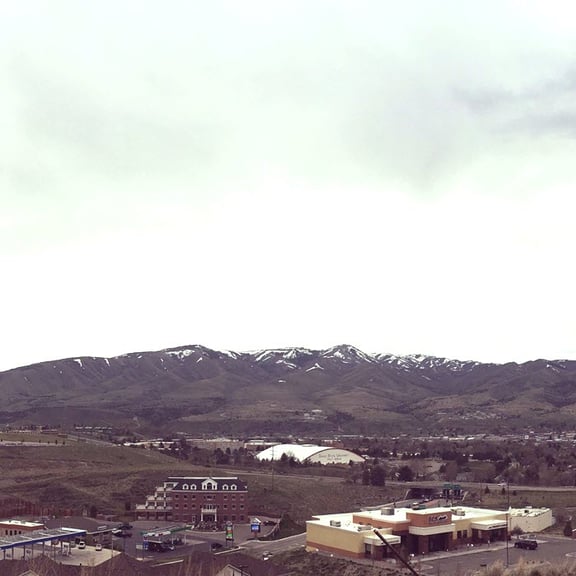 How did spring go? Spoiler – it was amazing. – News from the Nest